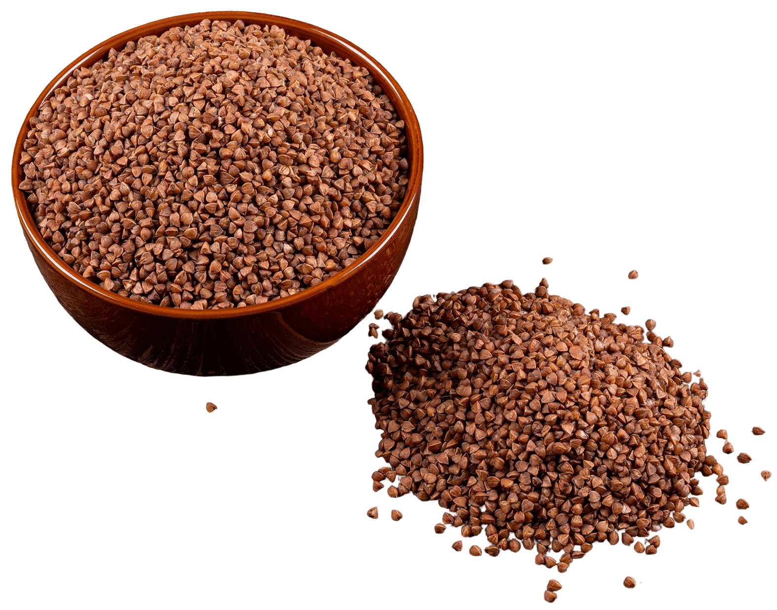 Chicory Manufacturer & Exporter from India to USA | Bulk Chicory Supplier